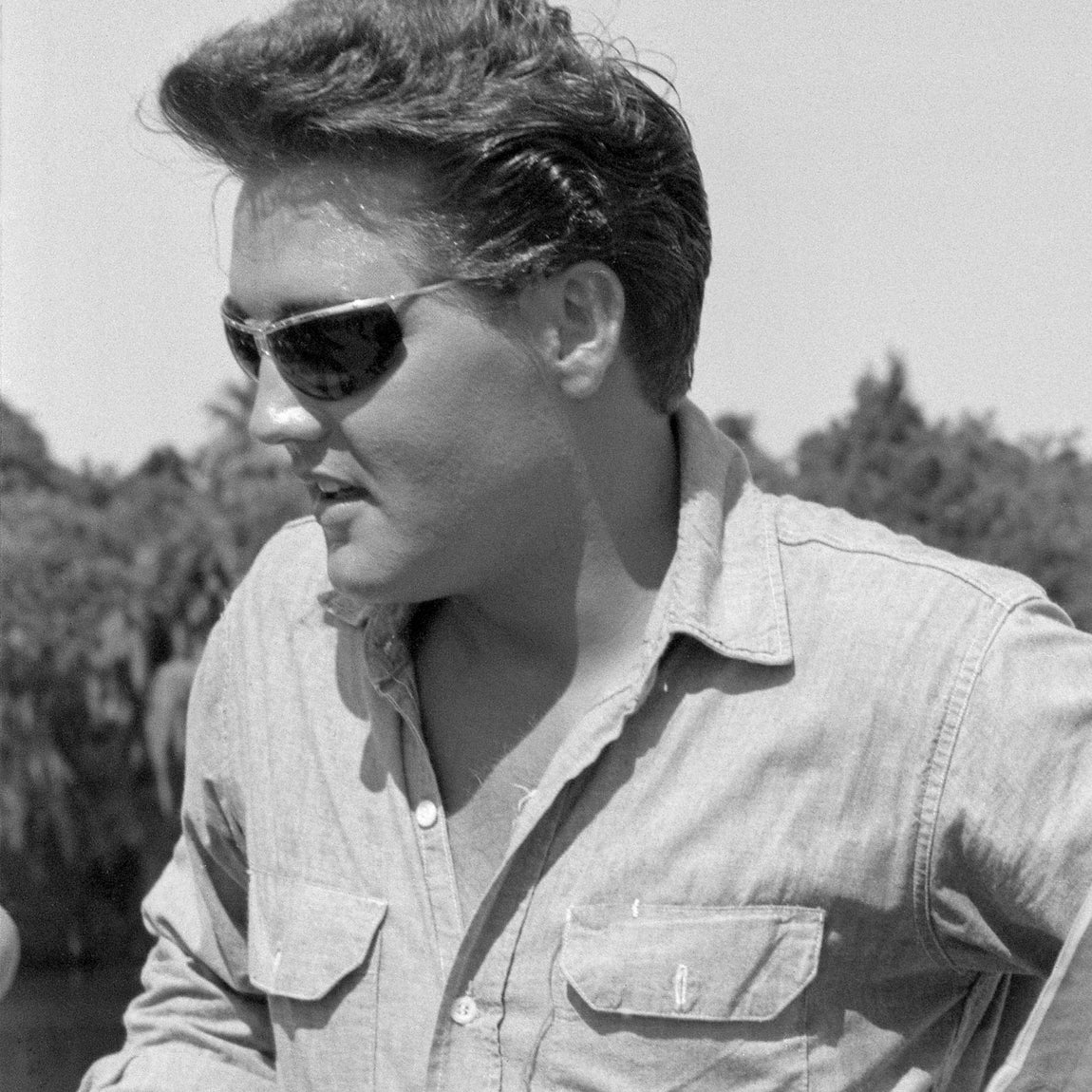 Renauld Icon - Elvis Presley